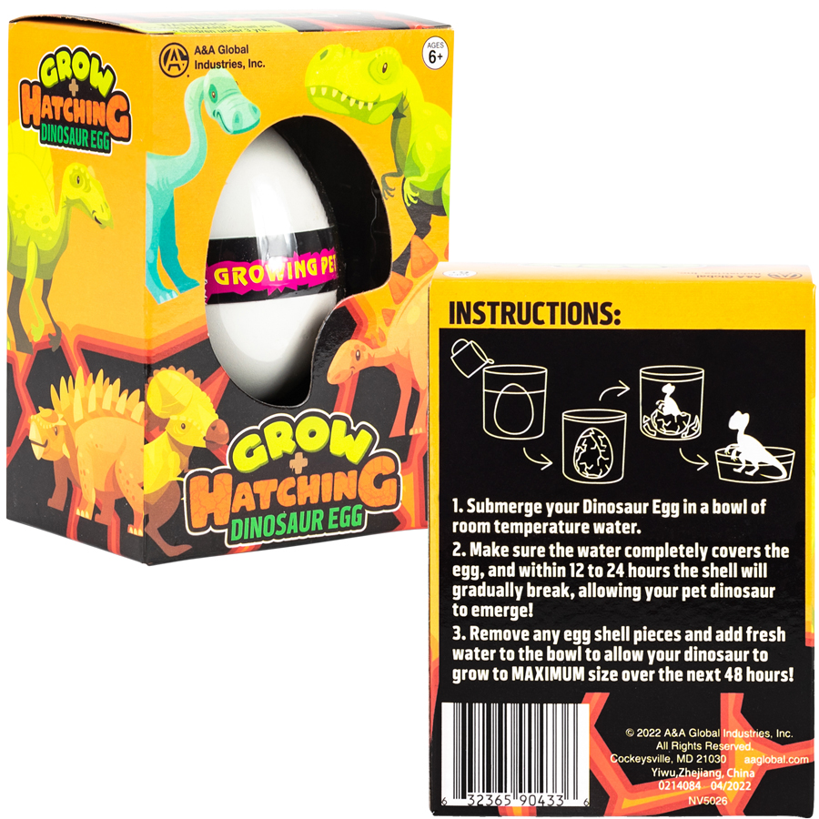 dinosaur egg instructions